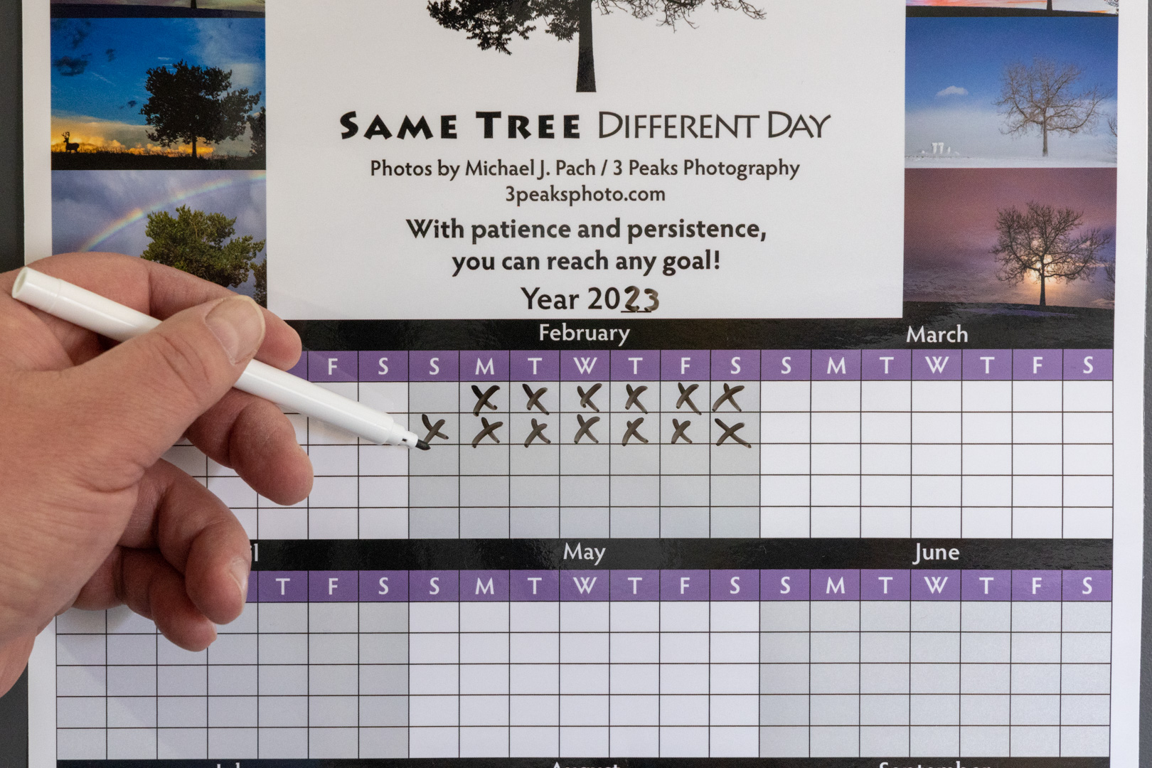 The Same Tree, Different Day Goal-Setting Calendar - 3 Peaks ...